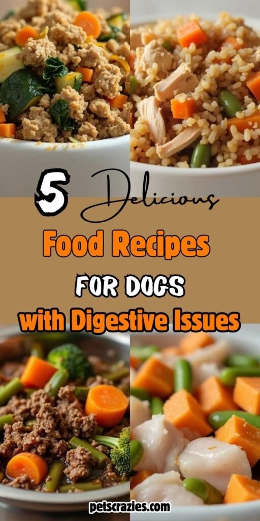 5 Dog Food Recipes for Dogs with Digestive Issues