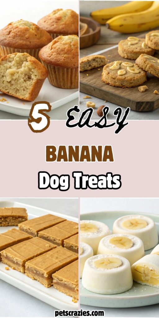 5 Easy Banana Dog Treats That Every Dog Loves
