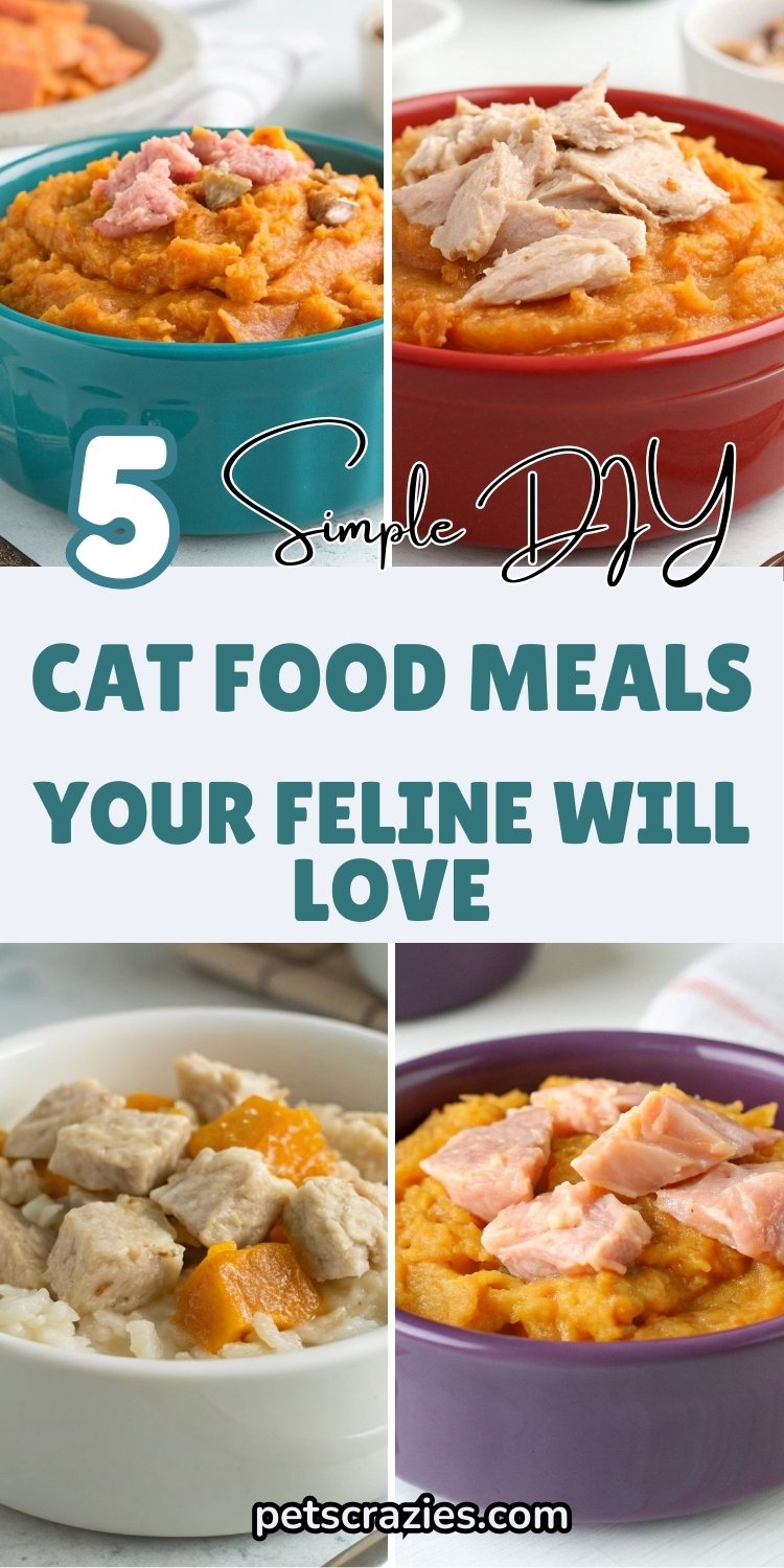 5 Simple DIY Cat Food Meals Your Feline Will Love